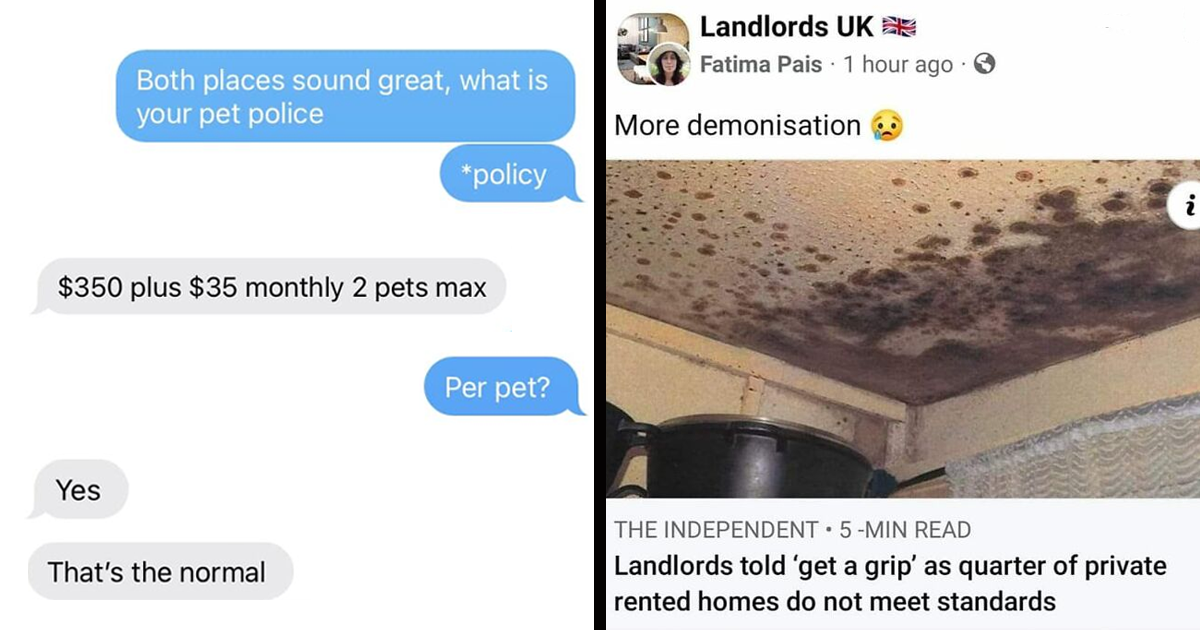 This Online Group Exists To Shame The Absurdity Of The Housing Market ...