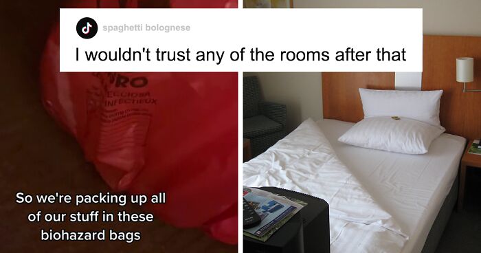 Woman Documents Hotel’s Brilliant Response After Finding A Single ...