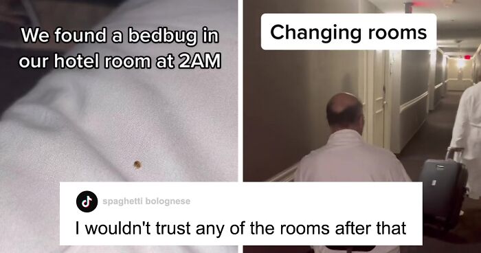 Woman Documents Hotel’s Brilliant Response After Finding A Single ...