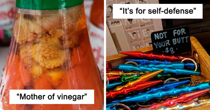 50 Times People Had No Clue What They Were Looking At And This Online ...