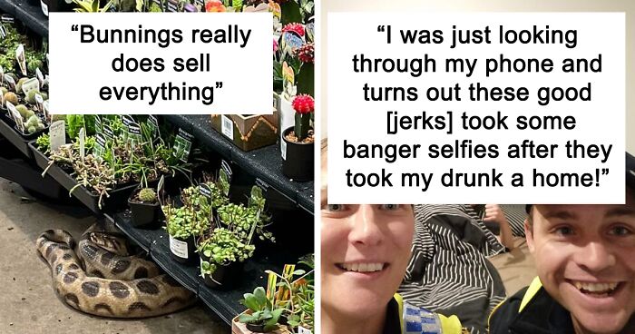 This Online Community Celebrates The Land Of ‘Nope’, Here Are 34 Of The ...