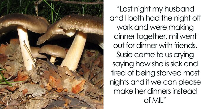 Woman Kicks MIL Out After Discovering She Starved Her Kid As She Kept ...