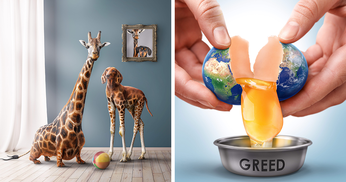 I Create Surreal Edits Using Animals, Plants, People, And Objects (30 ...