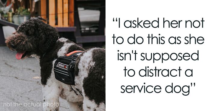 Karen Thinks This Person Has A “Fake” Service Dog, Gets Put In Her ...