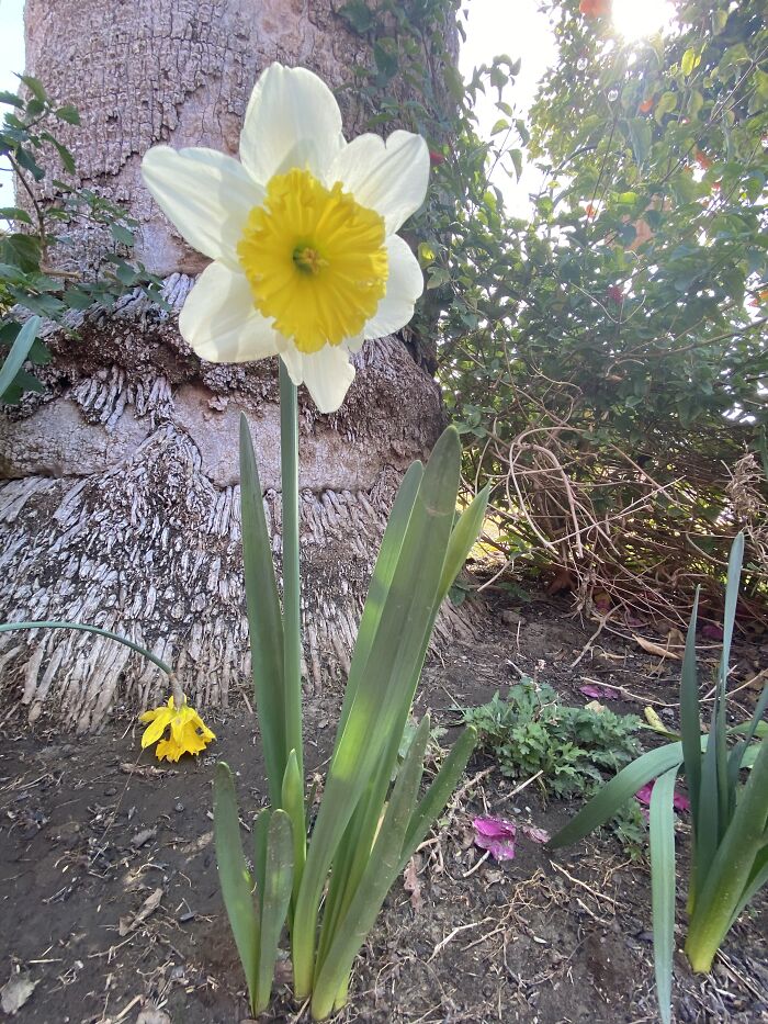 Hey Pandas, Can You Spot The First Signs Of Spring? | Bored Panda