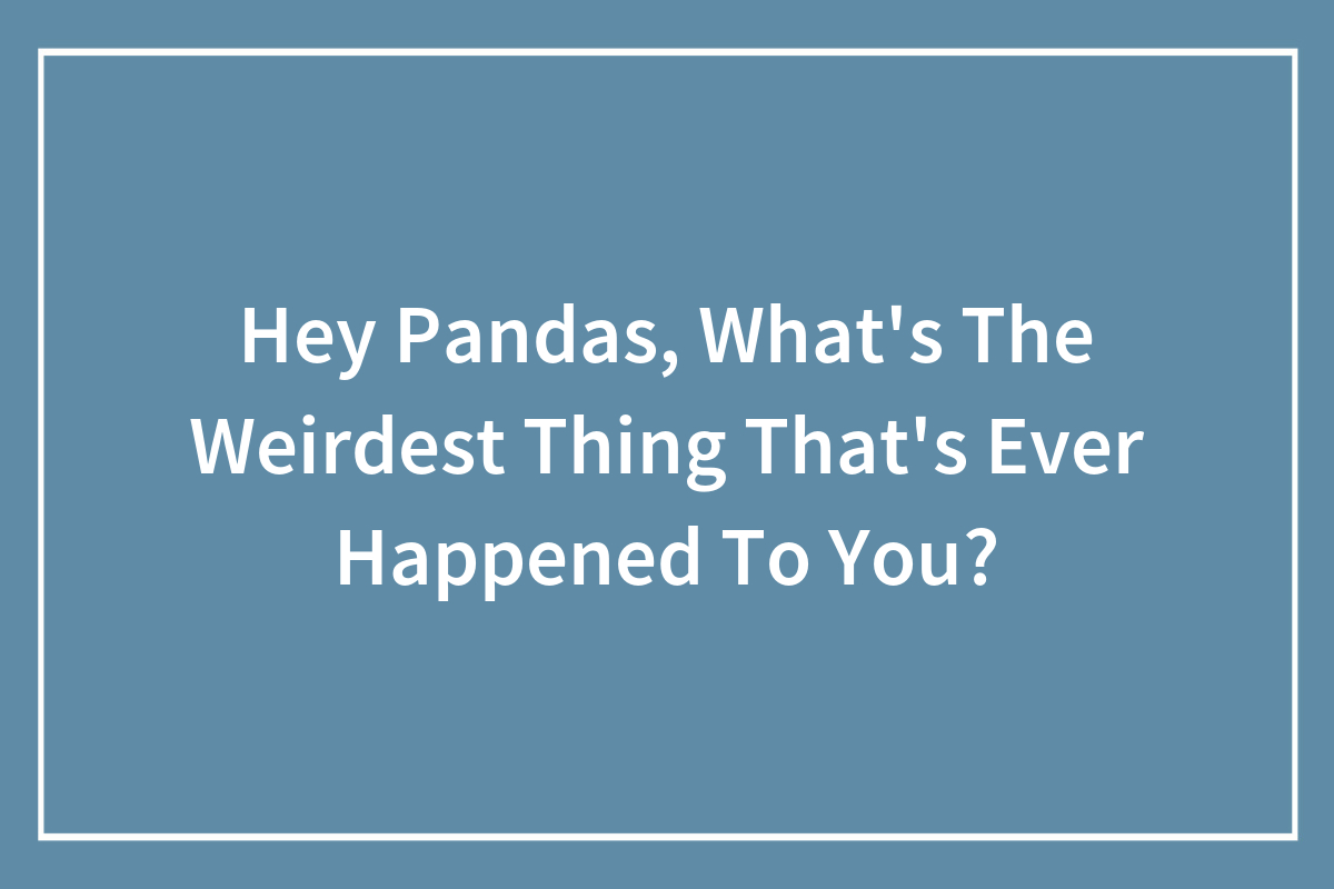 Hey Pandas, What’s The Weirdest Thing That’s Ever Happened To You? (Closed) | Bored Panda