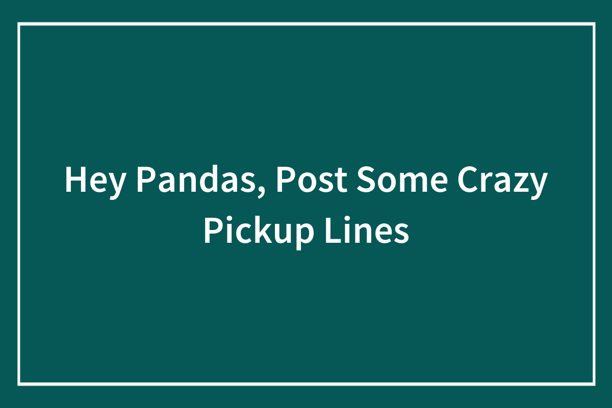 Pick Up Line Panda Memes