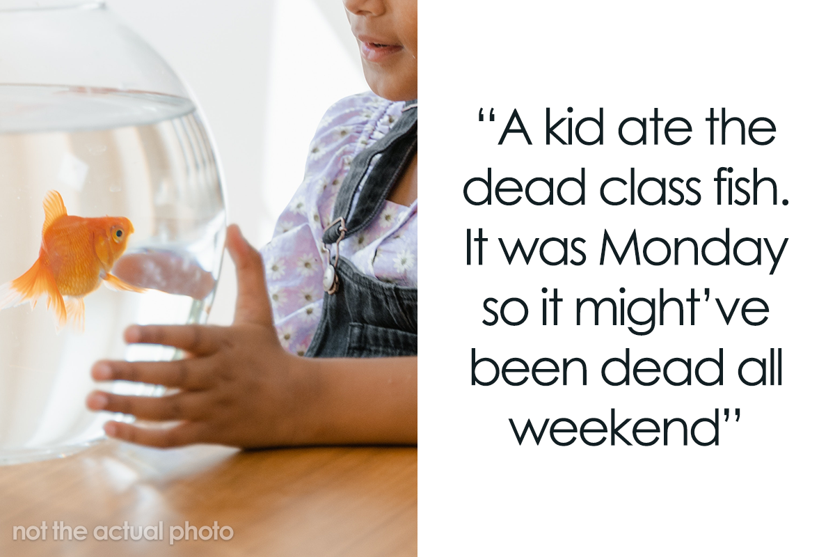 30 Teachers Reveal The Wildest Reasons They’ve Sent A Student To The ...
