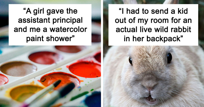 30 Teachers Reveal The Wildest Reasons They’ve Sent A Student To The ...