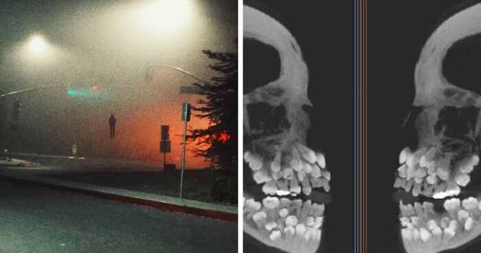 50 Times People Saw Such ‘Cursed’ Images, They Just Had To Share Them ...