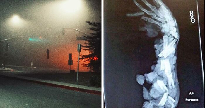 50 Times People Saw Such ‘Cursed’ Images, They Just Had To Share Them ...