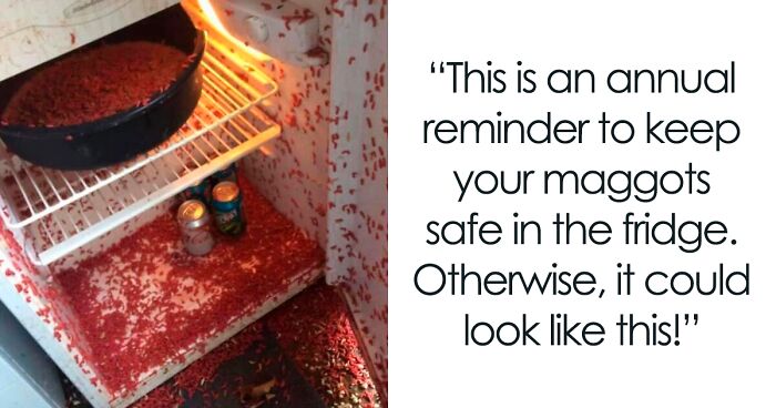 The “This Is Why I Don’t Do Potlucks” Facebook Group Shares The Worst ...