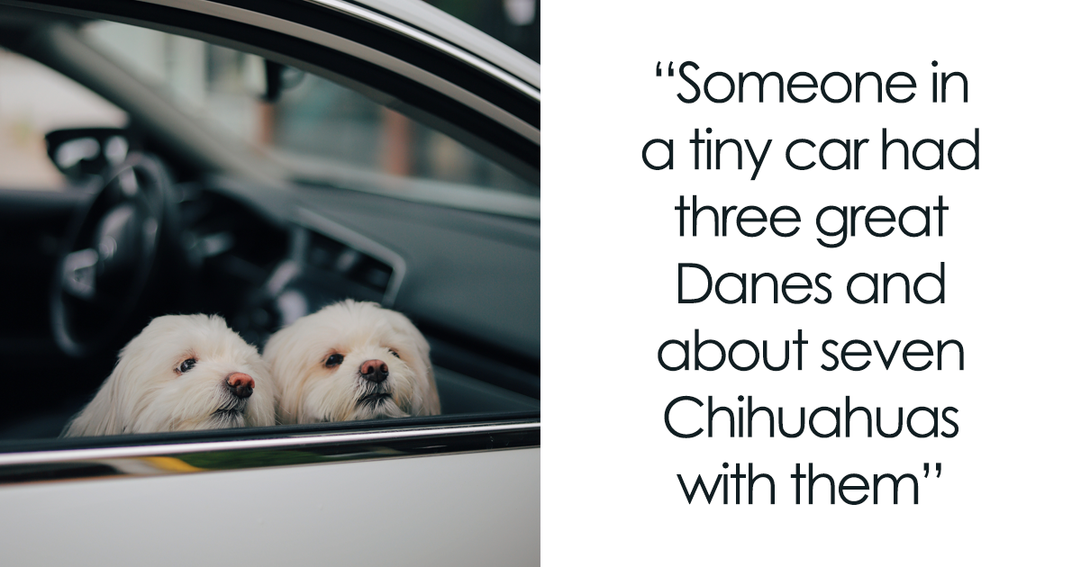 57 Funny, Strange, Creepy, And Otherwise Memorable Drive-Thru Stories ...
