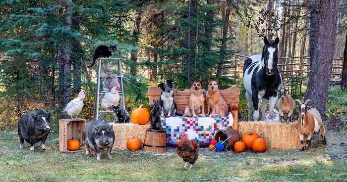 I Photograph Full Farm Portraits, And Here Are Some Of My Favorite ...