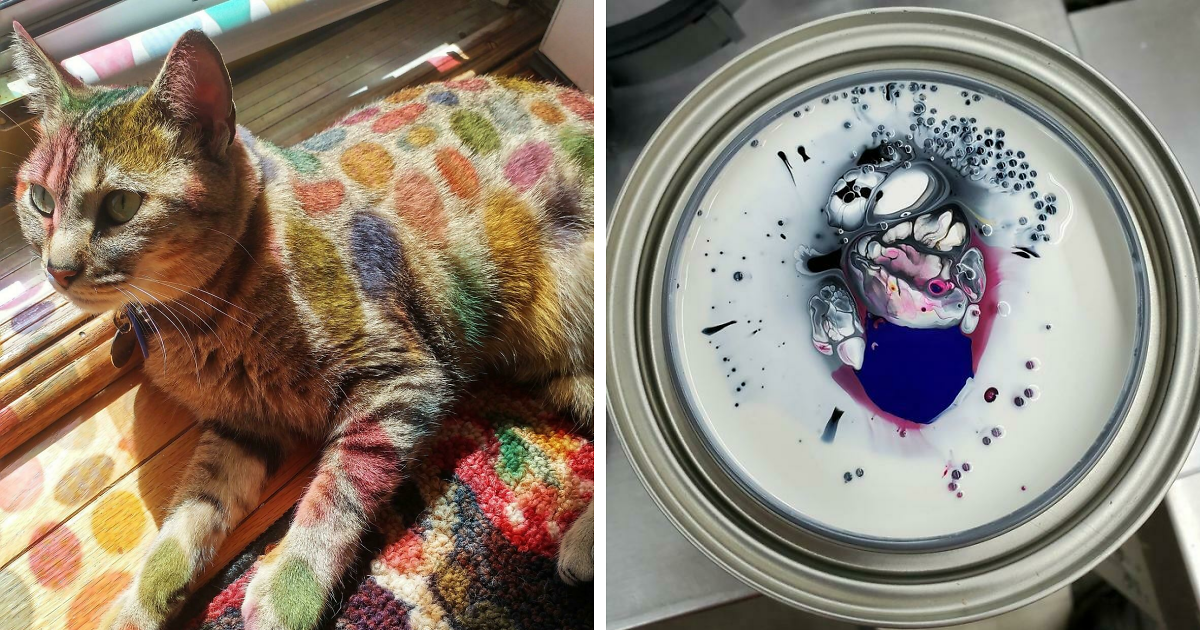 129 Times People Found Unexpected Art In The Most Random Things | Bored ...