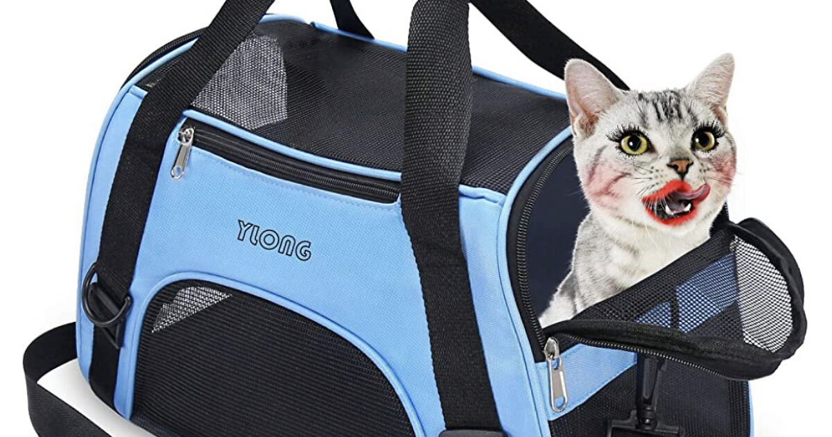 Animal Photoshop Fails