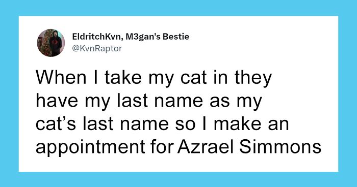 50 Hilarious Cat Names That Crack Vets Up Every Time | Bored Panda