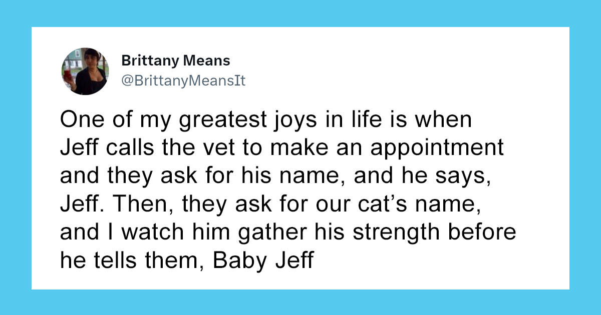 50 Hilarious Cat Names That Crack Vets Up Every Time | Bored Panda