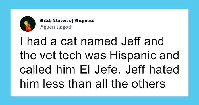50 Hilarious Cat Names That Crack Vets Up Every Time | Bored Panda