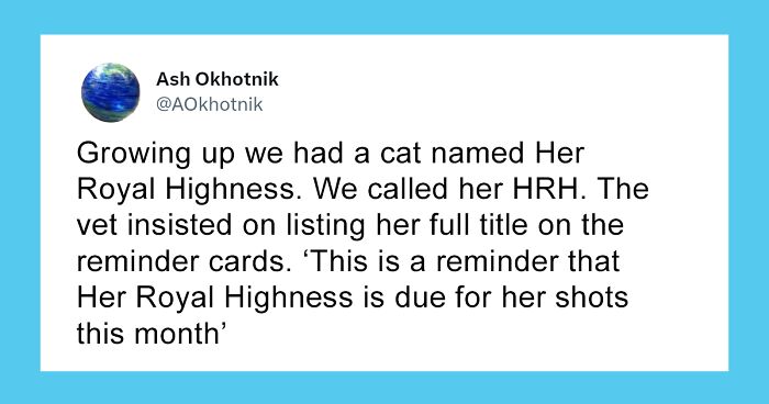 50 Hilarious Cat Names That Crack Vets Up Every Time | Bored Panda