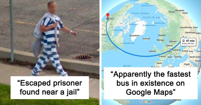50 Odd, Yet Hilarious Things People Stumbled Across On Google Maps
