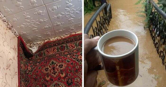 50 Posts By The “Trash & Culture” Instagram Account That May Make You ...