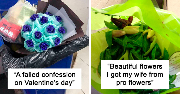 50 Times People’s Valentine’s Day Plans Went Tragically Wrong