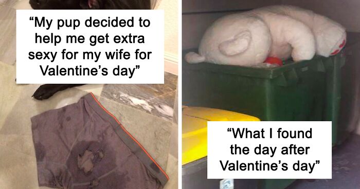 50 Times People’s Valentine’s Day Plans Went Tragically Wrong