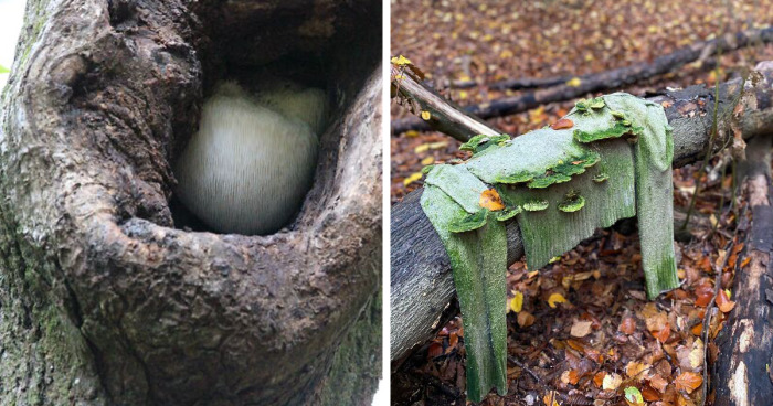 50 Times People Found Such Amazing Free Goods In The Wild, They Just ...