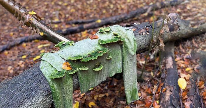 50 Times People Found Such Amazing Free Goods In The Wild, They Just ...