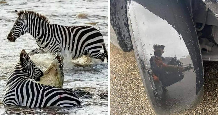 This Facebook Page Shares Images And Memes That Are Full Of Hilarious ...