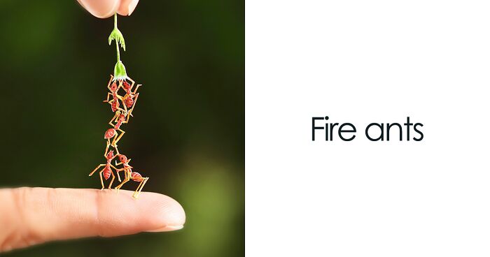 A 1000-Day Adventure In Miniature Paper Cut Art: Our 30 Creations (New ...