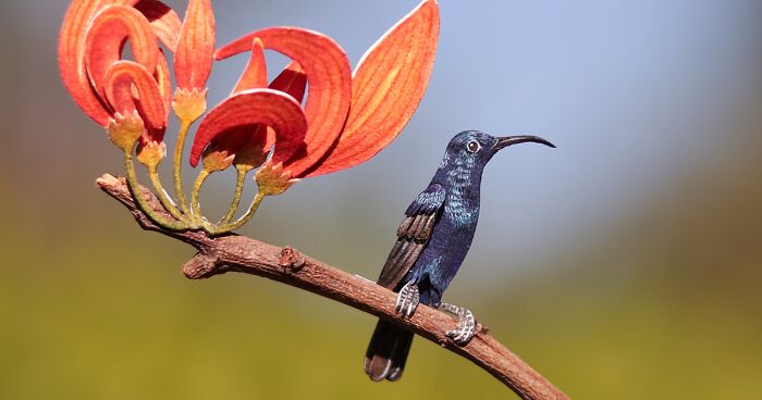 I Created A Pollinator Paper Art Collection To Remind Us Of The ...