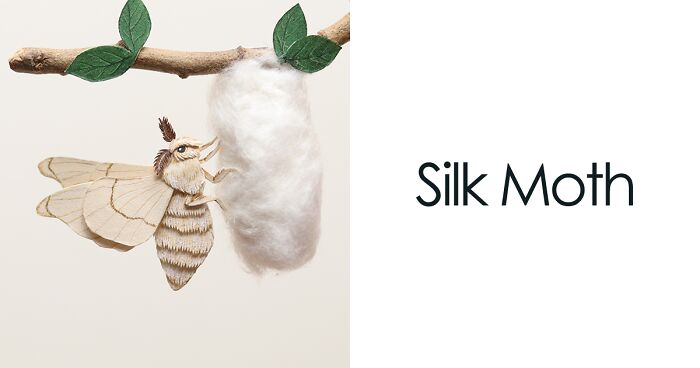 I Created A Pollinator Paper Art Collection To Remind Us Of The ...