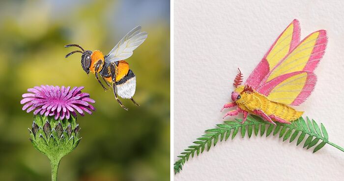 I Created A Pollinator Paper Art Collection To Remind Us Of The ...