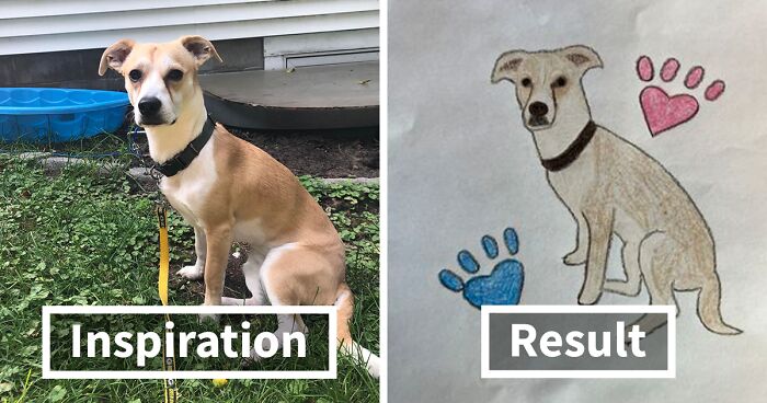 31 Hilarious Drawings Of People’s Pets Made By The Staff And Volunteers ...
