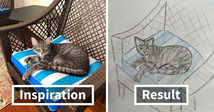31 Hilarious Drawings Of People’s Pets Made By The Staff And Volunteers ...