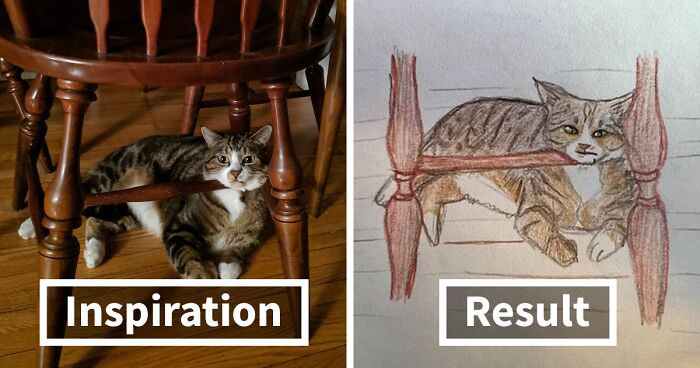 31 Hilarious Drawings Of People’s Pets Made By The Staff And Volunteers ...