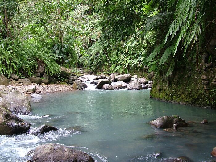 Hey Pandas, Post Your Favorite Scenic Picture You’ve Taken | Bored Panda