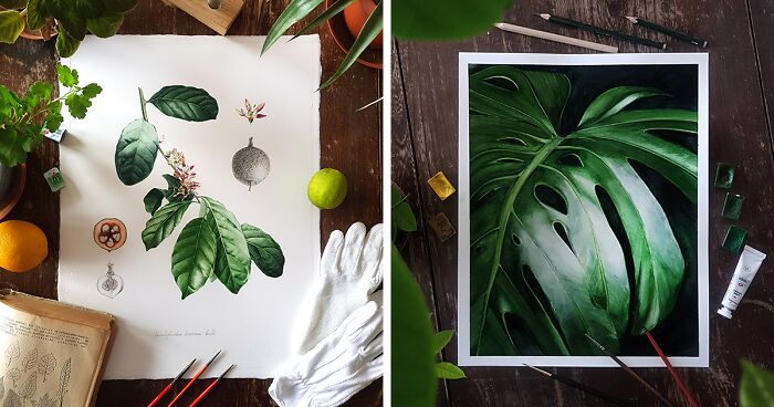 My Botanical Watercolor Illustrations Focus On Plants I Grow In My Own ...