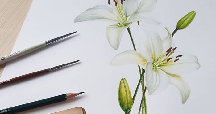 My Botanical Watercolor Illustrations Focus On Plants I Grow In My Own ...