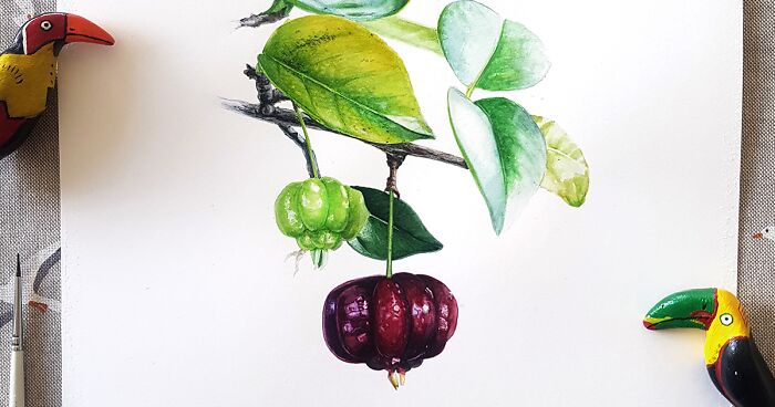 My Botanical Watercolor Illustrations Focus On Plants I Grow In My Own ...