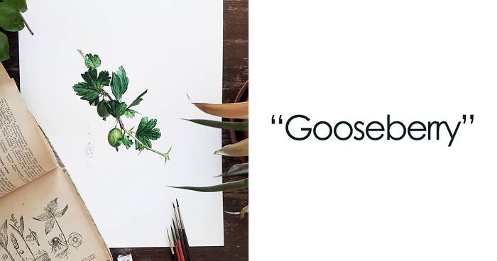 My Botanical Watercolor Illustrations Focus On Plants I Grow In My Own ...