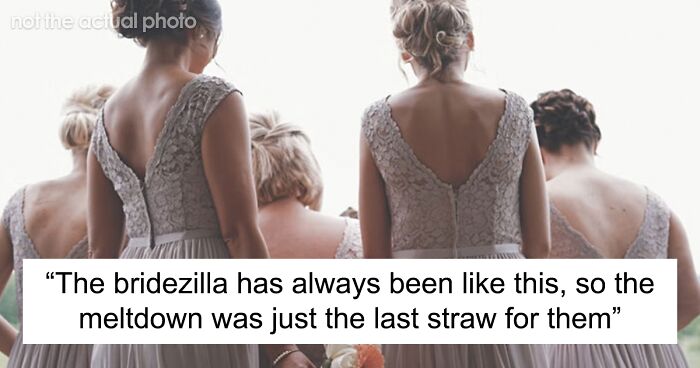 Bridezilla Has An Awkward Wedding With No Bridesmaids After They All ...