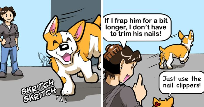 I Capture The Funny Reality Of Being A Dog Owner And Put It Into My ...
