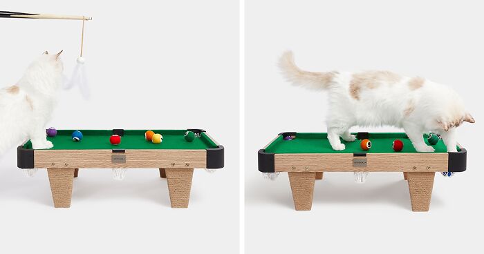 Interactive Mini Billiards For Cats: Perfect To Keep Your Pet Occupied