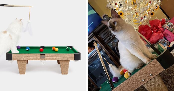 Interactive Mini Billiards For Cats: Perfect To Keep Your Pet Occupied