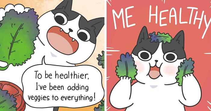 This Artist Illustrates Funny Realities Of Living With A Cat (30 New ...