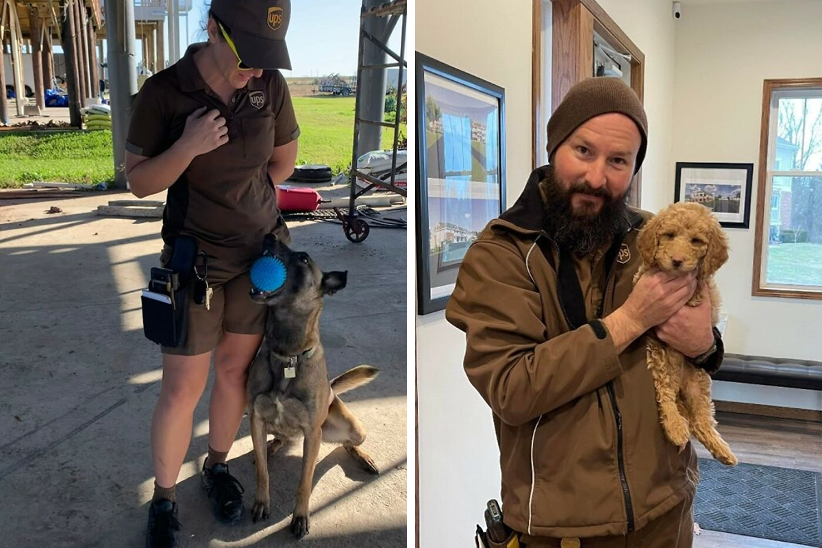 40 Times UPS Drivers Met The Cutest Dogs While On Duty, As Shared In ...