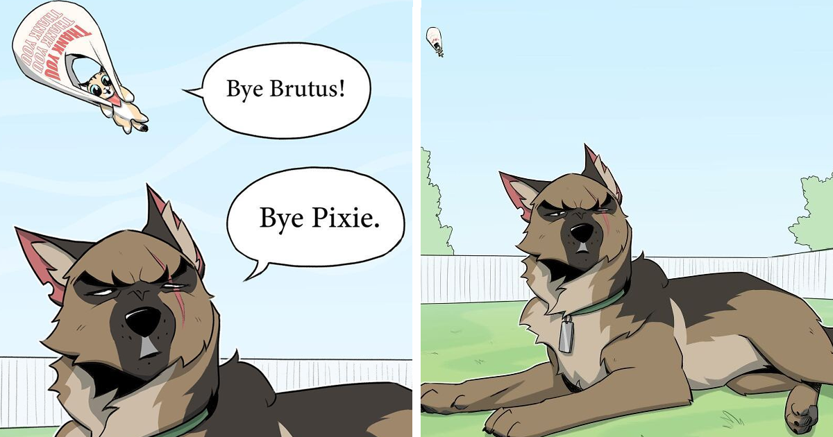 7 New Hilariously Adorable Comics From The Internet’s Most Loved Cat ...